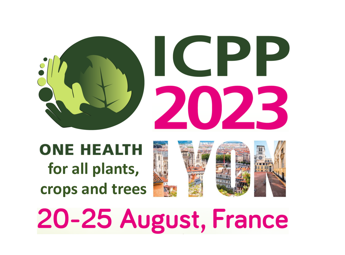 Les résultats des projets Yellow Resist Beet et SEPIM commentés lors du congrès ICPP - Recherche ...