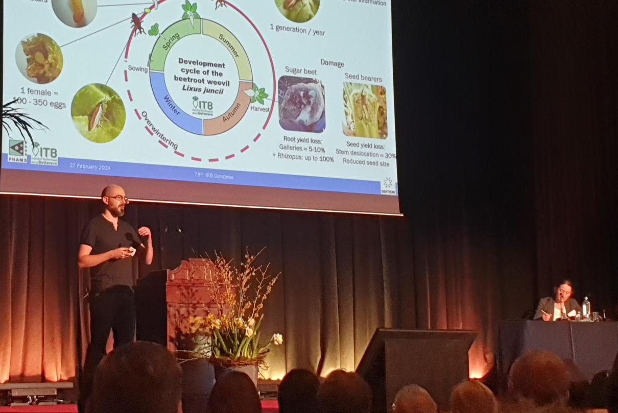 L'ITB au 79è Congrès IIRB - Recherche et expertise au service de la ...