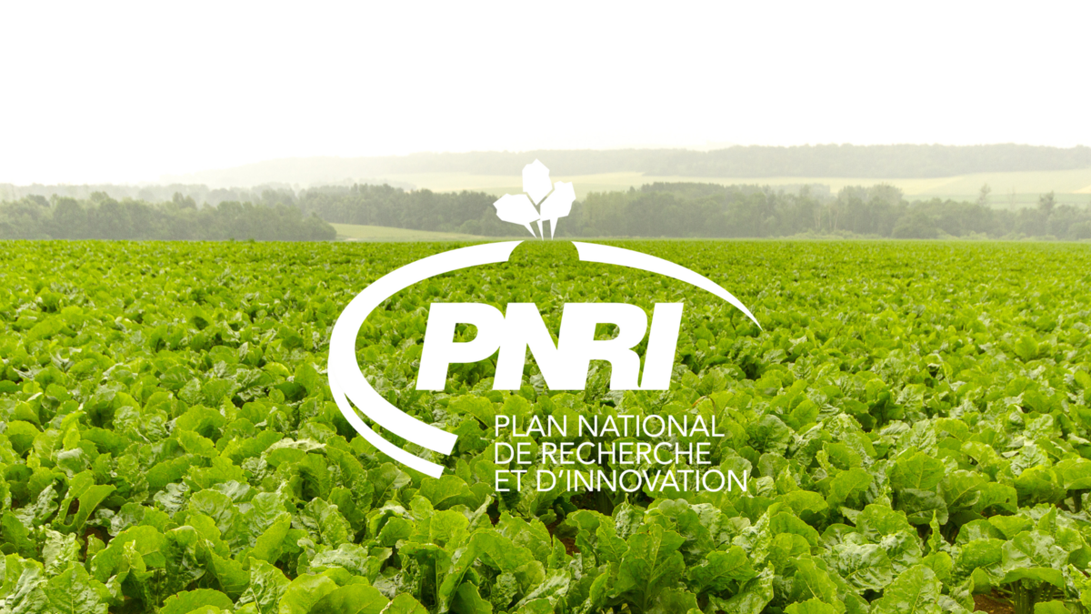 Le bilan 2022 des actions de communication du PNRI - Recherche et ...