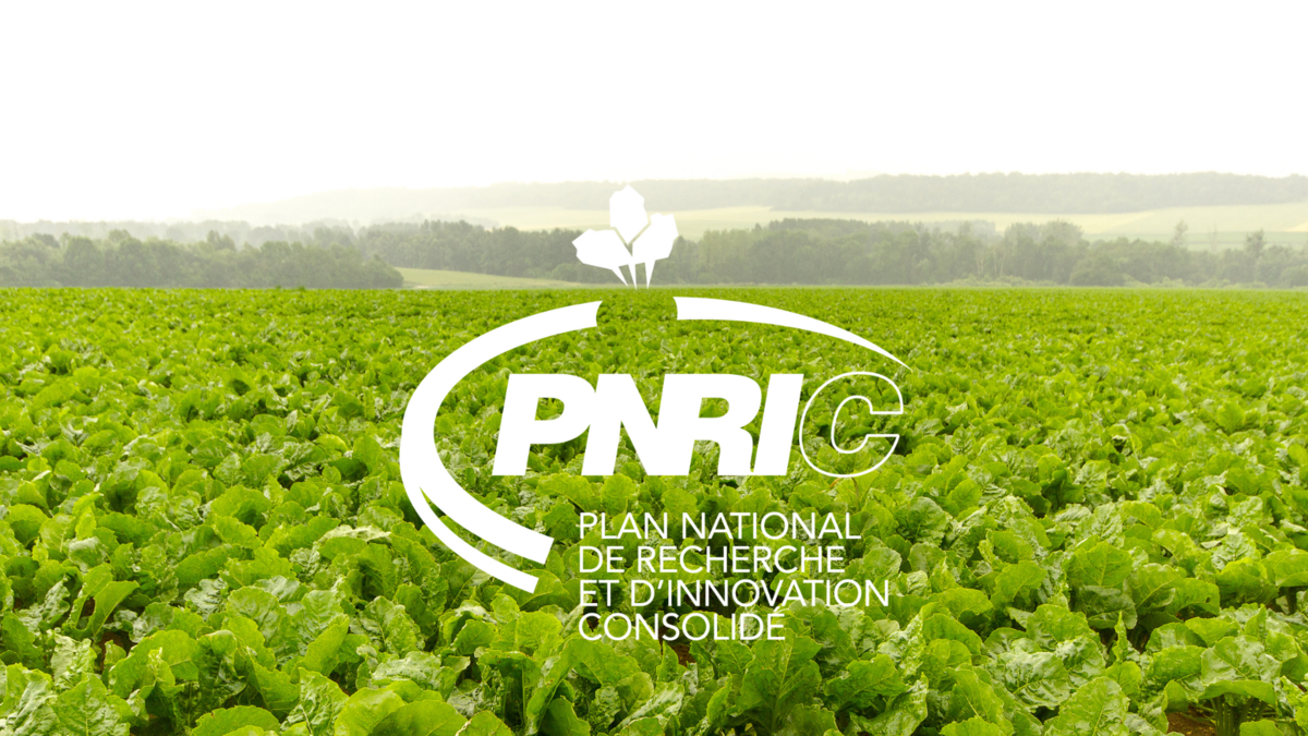 Les projets du PNRI-C - Recherche et expertise au service de la filière ...